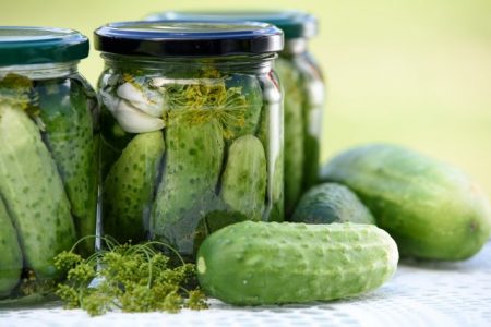 Comment planter des cornichons ? Les secrets pour bien les cultiver